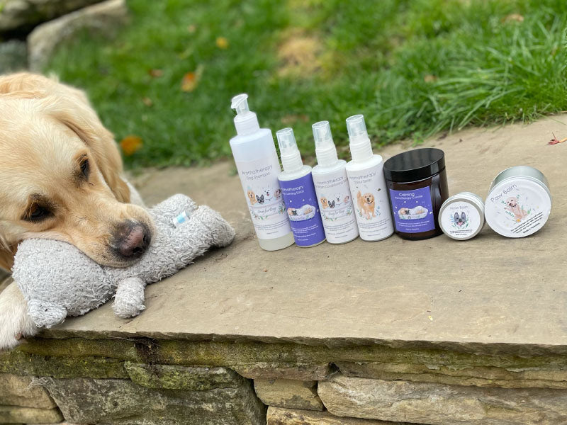 Beautiful Handcrafted Aromatherapy Products – snugaromatics